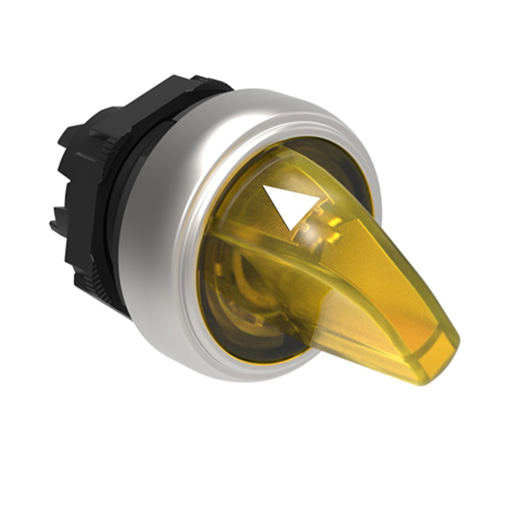 Illuminated 2 Position Selector Switch, Yellow, Maintained-Momentary ...